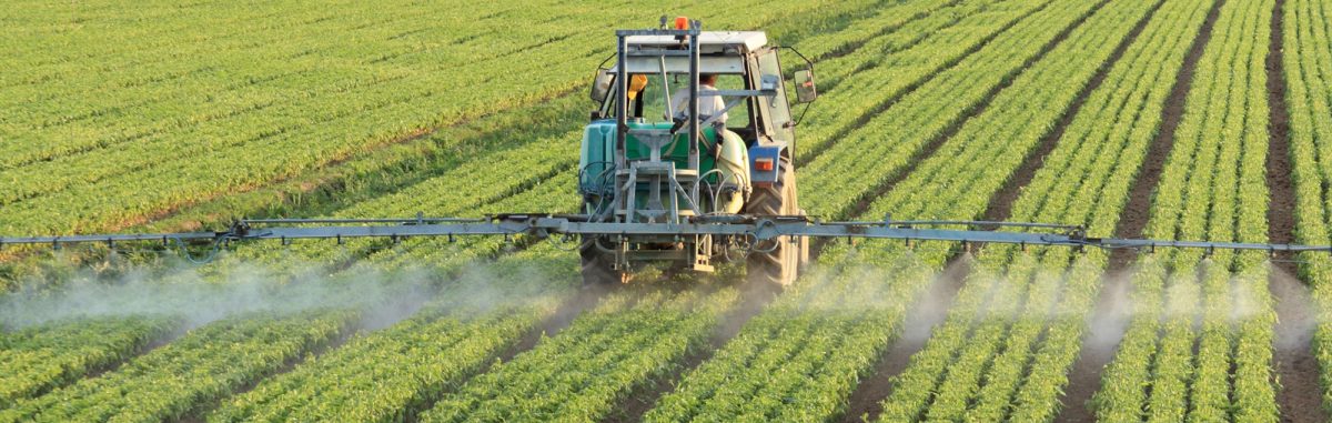 Conventional Fertilizers For Your Growing Needs - American Ag